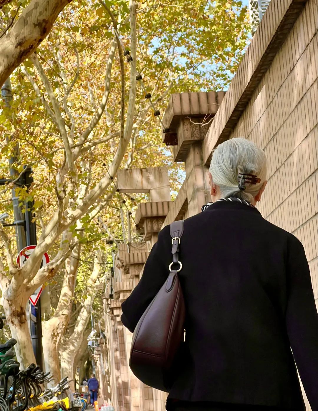 In pics: Admire 'golden' Huangpu in late autumn