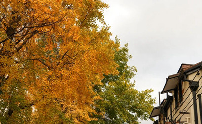 Discover 'the Bund info', a platform where Huangpu stories come alive